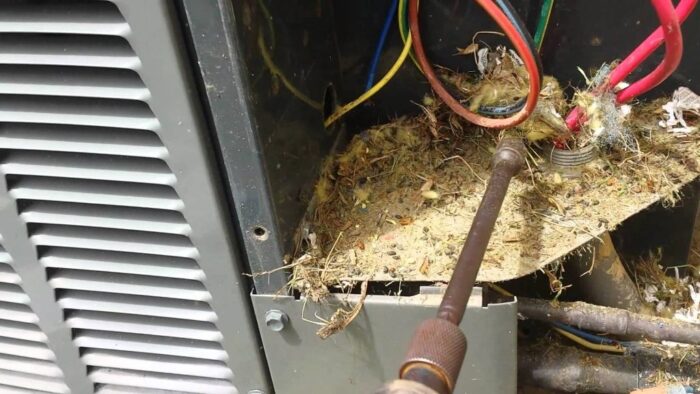 Mouse Deterrent Solution for Vehicles and Equipment - NHOU